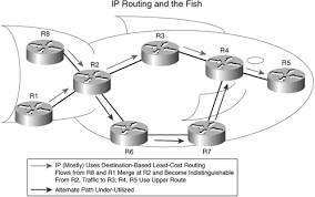 Segment Routing Traffic Engineering | Orhan Ergun